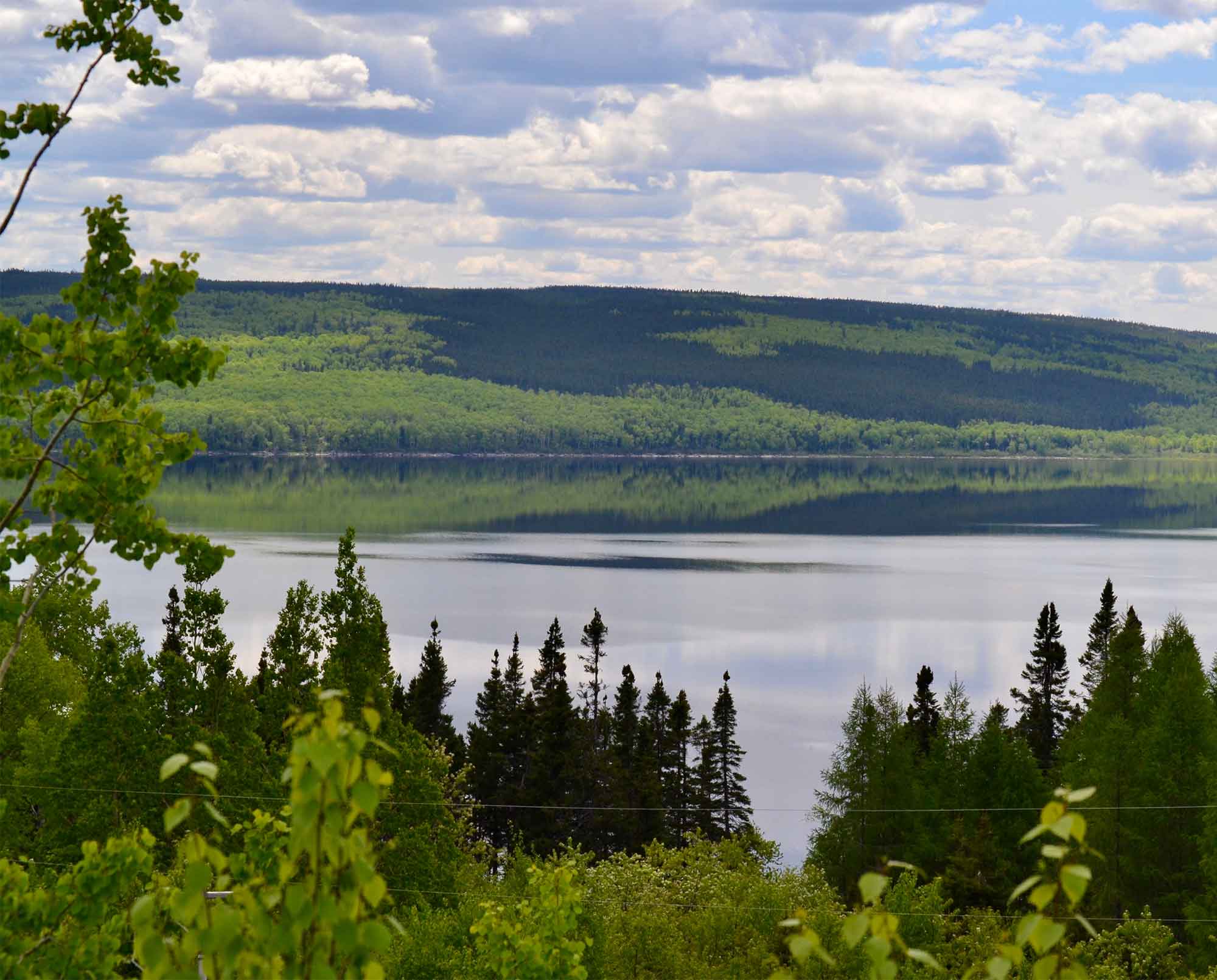 Tourist Information Centre | Gander and Area Chamber of Commerce