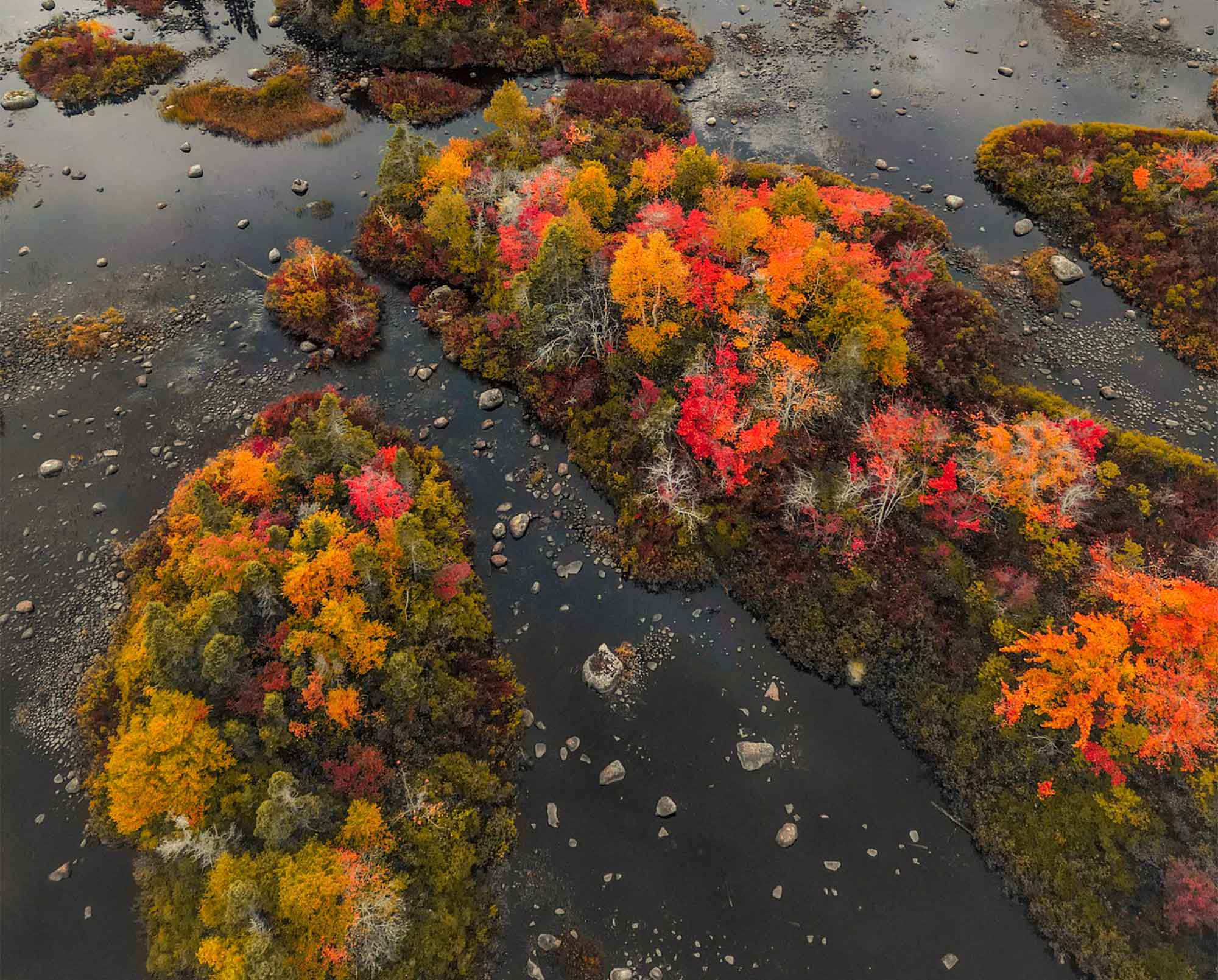 About | Gander and Area Chamber of Commerce